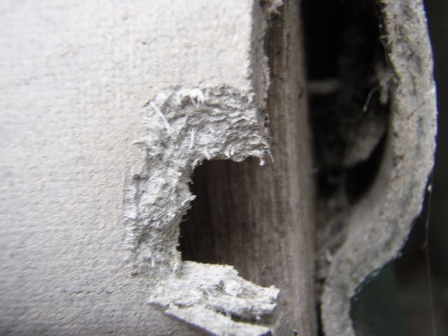 How to Identify Asbestos Walls • Icon Asbestos Removal